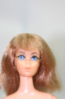 BARBIE DOLLS - The Toy Attic